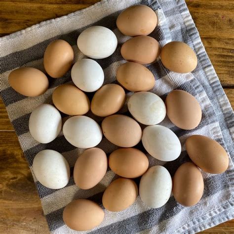How To Store Eggs In Restaurant At Sandra Moody Blog