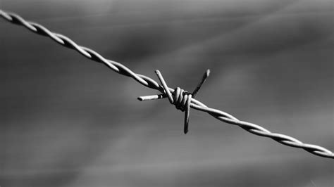 Rescatan A Niño Que Llevaba Días Sin Comer Y Estaba Amarrado Con