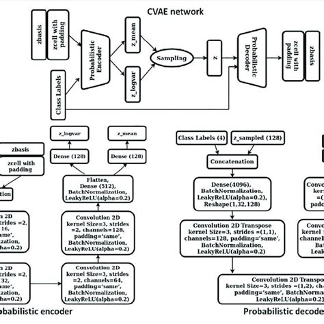 Architecture Of The Cell Autoencoder Download Scientific Diagram