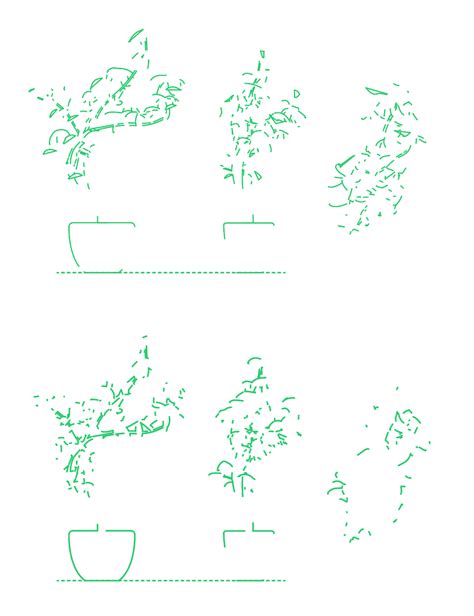 Miniature Tree Forms Dimensions And Drawings