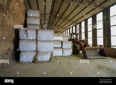 The High Quality Forage Warehouse Is Located In A Dairy Farm In North