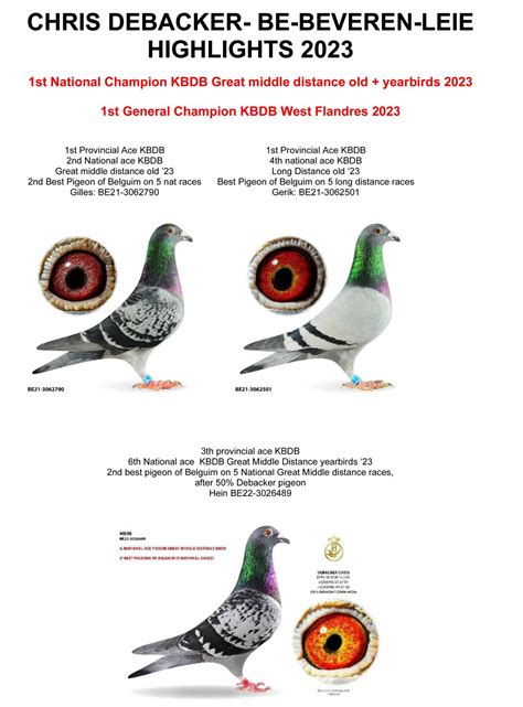 Herbots Chris Debacker Beveren Leie 1st National Champion Kbdb