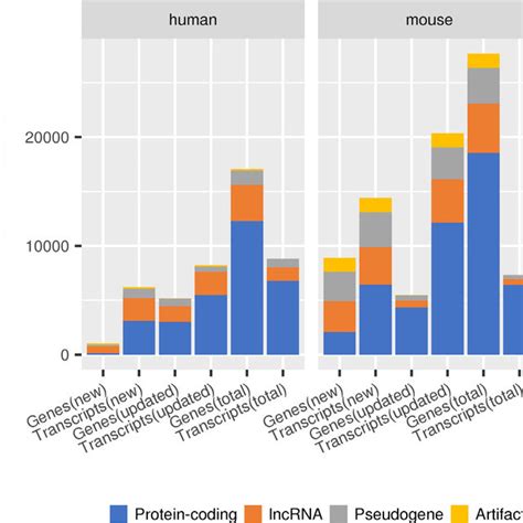 New And Updated Manually Annotated Genes And Transcripts From July 2016