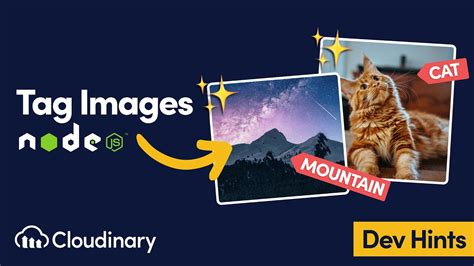 Add Tags To An Existing Image In Nodejs With Cloudinary Dev Hints