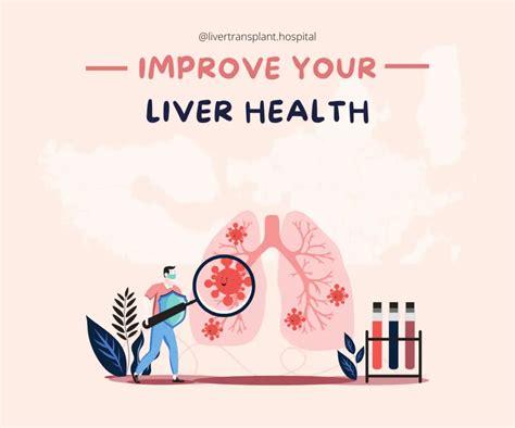 Life Saving Guide Understanding The Liver Transplant Process