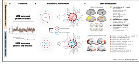 Figure 1 From Prefrontal Cortex Drives The Flexibility Of Whole Brain
