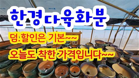 2023년 8월 2일 영상181회차 한경다육화분 수제다육화분 공방분 예쁜화분 다육화분 다육생활 다육식물
