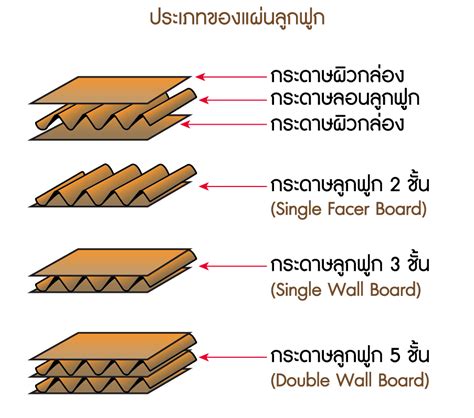 ประเภทของกระดาษลูกฟูก พร้อมภัณฑ์ บรรจุภัณฑ์