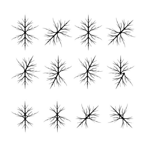 Premium Vector Tree Roots Vector Icon Illustration Design Green Tree