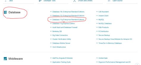 最新版oracle 11g下载和安装教程 全栈程序员必看