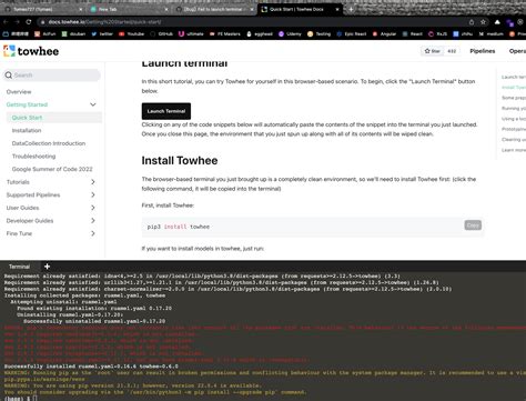 Bug Fail To Launch Terminal In Quick Start · Issue 1177 · Towhee Io
