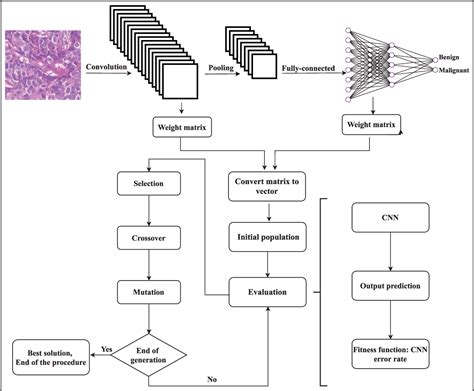 Figure 2 From Evolving Convolutional Neural Network Parameters Through The Genetic Algorithm For