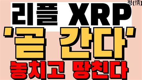 리플 Xrp 곧 간다 놓치고 땅친다 Youtube