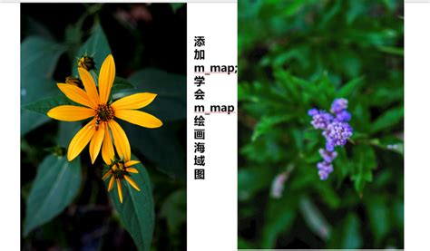 matlab基础绘图之安装m map和海图绘制 知乎