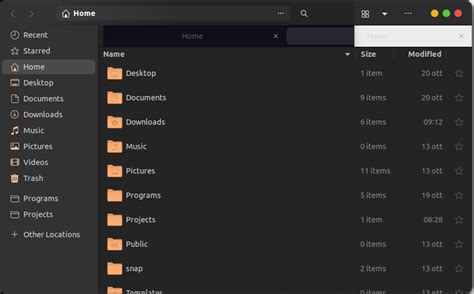 Transparent Background When Creating A New Files Window Issue Vinceliuice WhiteSur Gtk