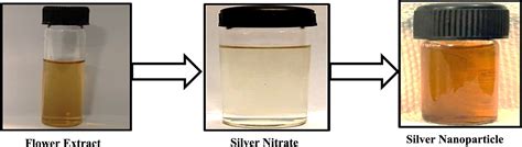 Uv Absorption Peak Uv Spectrum Of Peak Eluting At 19 15 Min Displaying
