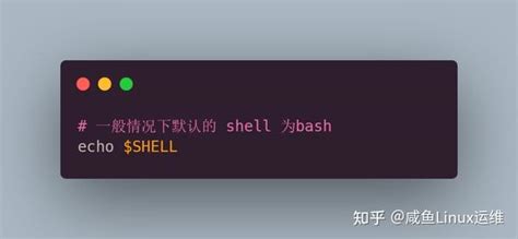 关于 Bash 脚本中 Shebang 的趣事 知乎