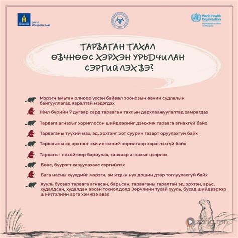 НЭМГ Тарваган тахал өвчнөөс урьдчилан сэргийлье