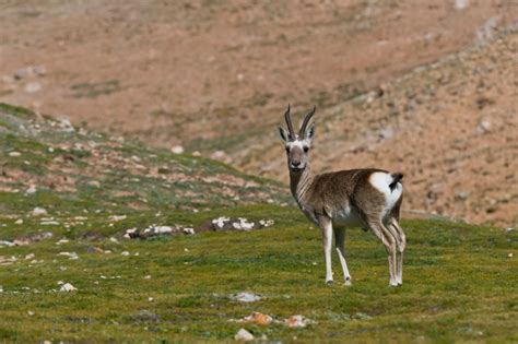 Lingyun Xiao Connect Xjtlu