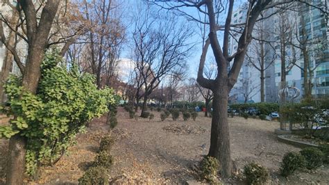 빚투족들 24년 강제처분된 주식 1위는 삼성전자 어쩌자고 무리하게 빚 내서 주식투자 했나 쉽게 돈 벌 수 있다고 착각했나 빚투강제매매삼성전자 Youtube