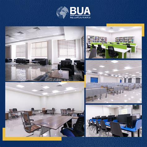 تحرص Bua Badr University In Assiut جامعة بدر بأسيوط
