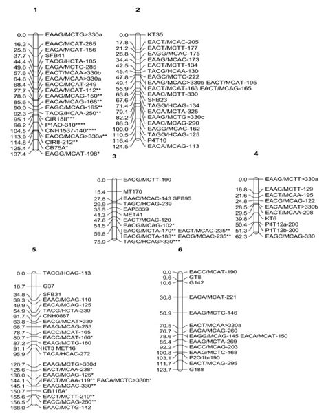 Combined Aflp Ssr And Rflp Map Of Interspecific Hybrid Palm T128