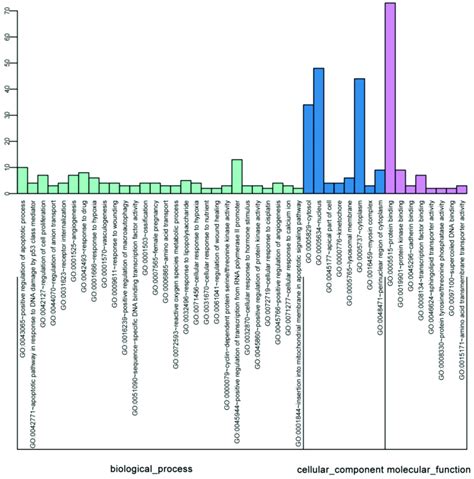 Functional Enrichment Of Overlapped Degs Between Erα Transgenic