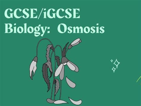 Gcse Igcse Biology Osmosis Teaching Resources