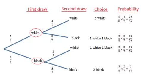 Tree Diagram In Probability Theory With Example