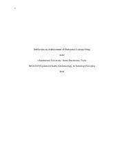 NR503 Reflection On Achievement Of Outcomes Concept Map Assignment Docx
