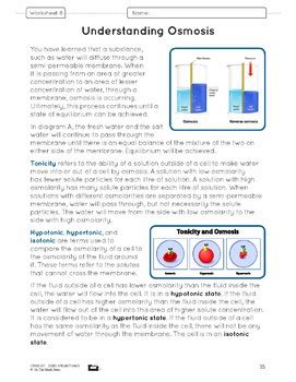 Osmosis Diffusion Lesson Plan Grade 8 By On The Mark Press TpT