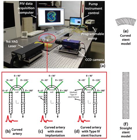 Entropy Special Issue Wavelet Entropy Computation And Applications