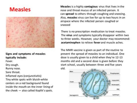 New Gcse Lesson On Viruses Aqa Teaching Resources