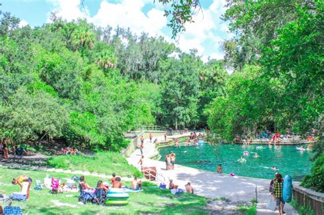 Swimming Wekiwa Springs State Park