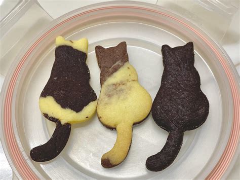 Some Cat Cookies I Made Rbaking