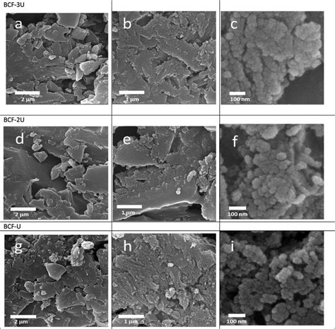 Fesem Images Showing The Morphology Of The Prepared Samples At