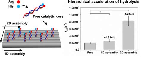 Nano Letters Vol 23 No 6 Acs Publications
