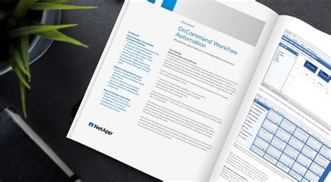 Netapp Workflow Automation Dive Virtual