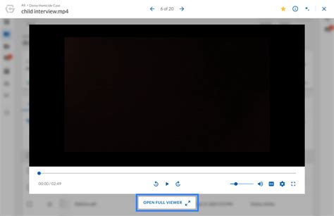 Pro Previewing Files Guardify