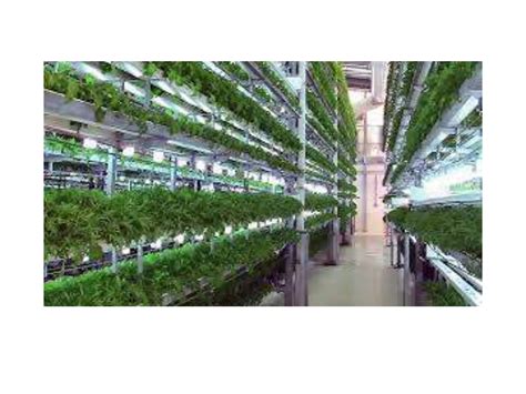 Modern Agricultural Practices Pptx