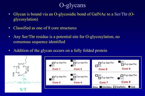Lecture 7 Glycosylation In Cell Culture Pptx