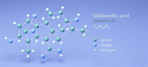 Gibberellin Stock Illustrations 22 Gibberellin Stock Illustrations