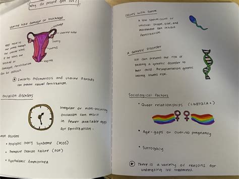 In Vitro Fertilization IVF Illustrated Human STEAM