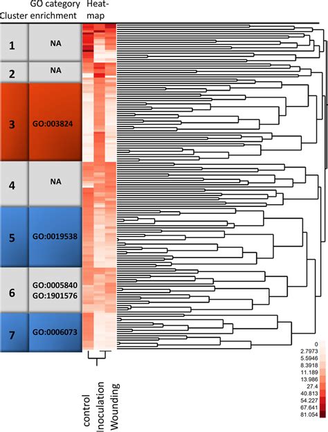 Two Way Clustering Of The 150 Most Highly Expressed Transcripts A Download Scientific Diagram