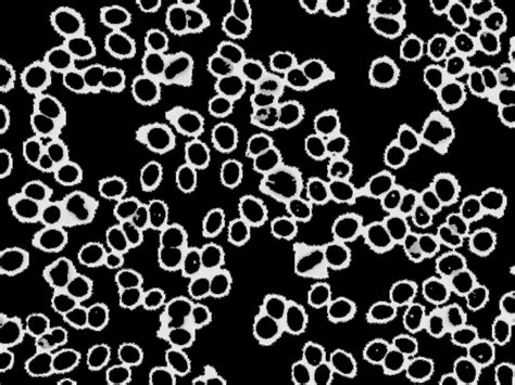 Expansion Inversion Of Binary Image OpenCV Q A Forum