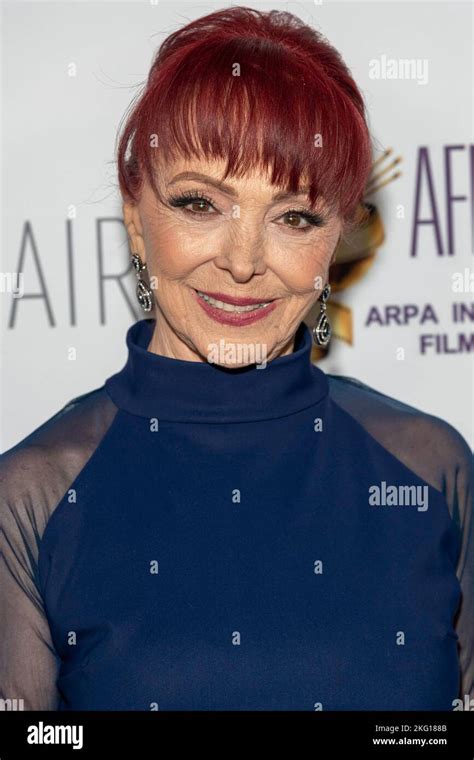 Beverly Hills Usa 20th Nov 2022 Sylvia Minassian Attends 25th Annual Arpa International Film