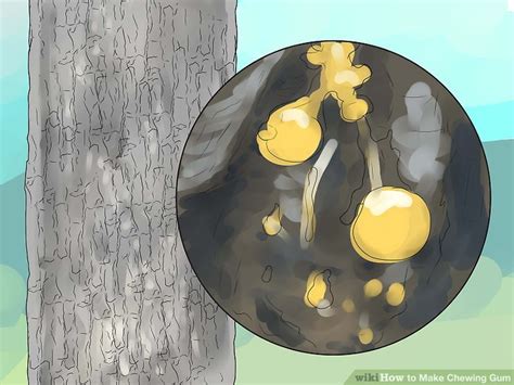 3 Ways To Make Chewing Gum WikiHow 3 Ways To Make Chewing Gum WikiHow