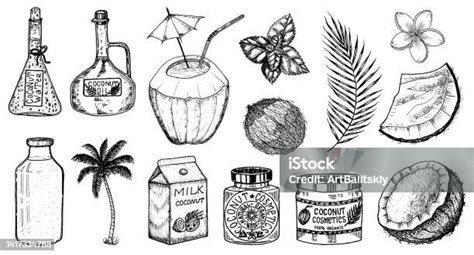 코코넛과 야자 잎 우유 포장 유리 병 버터 화장품 크림 항아리 우산이있는 칵테일 빈티지 스타일 열대 음식 그림 새긴 이미지에 대한 스톡 벡터 아트 및 기타 이미지 Istock