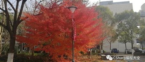 C Wpf项目实战经典 知乎