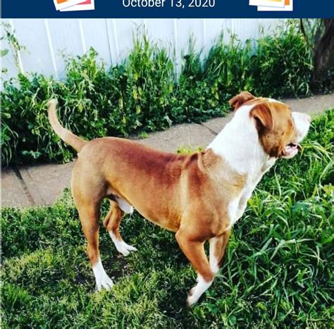 Manuel Landeta Terminando Hoy Un Workshop Con Parte De Este